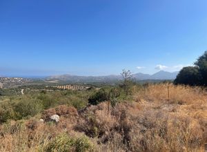 Πώληση, Αγροτεμάχιο, 5000τ.μ. Γεροπόταμος, Αγγελιανά | 18285749 ...