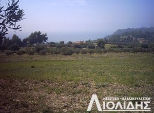 Πώληση, Αγροτεμάχιο, 4700τ.μ. Χαλκιδική, Κασσάνδρα | 3483530 | Spitogatos