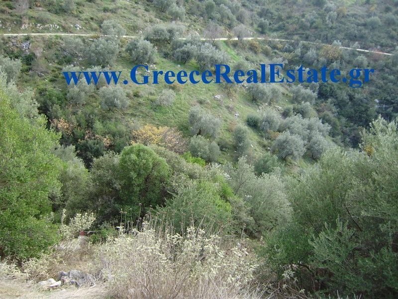ΑΓΡΟΤΕΜΑΧΙΟ - ΕΛΑΙΩΝΑΣ ΟΙΚΟΔΟΜΗΣΙΜΟ